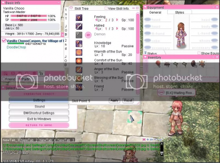 Custom Skins/Theme for your Ragnarok - BraveRO Wiki